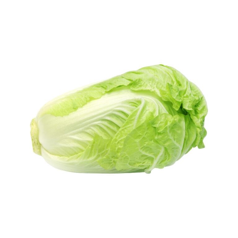 Cabbage Chinese Wombok Whole