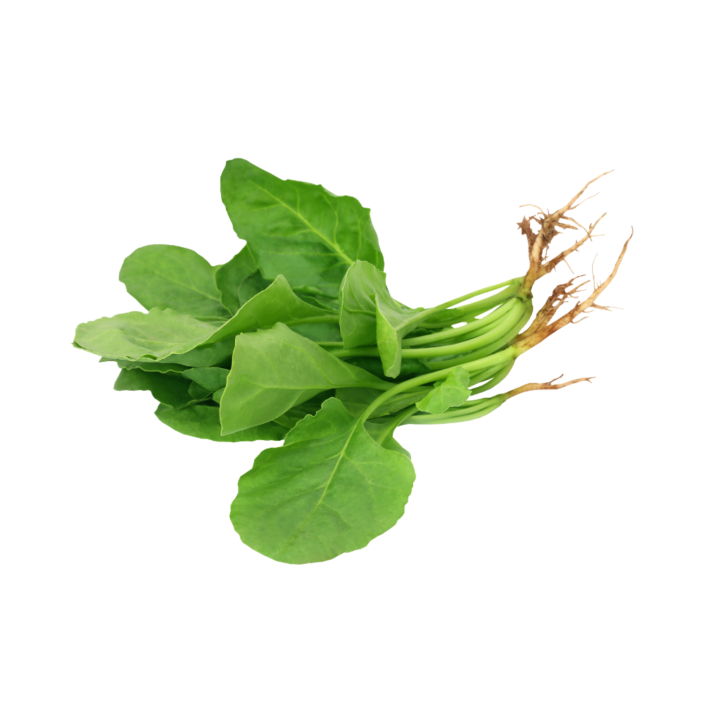 SPINACH ENGLISH BUNCH