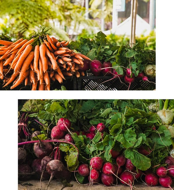 About Us - Panetta Mercato