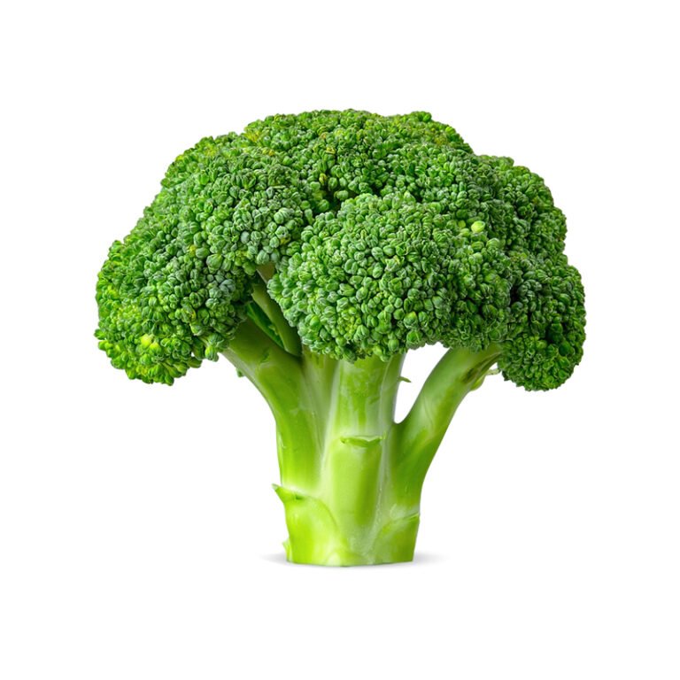 BROCCOLI KG